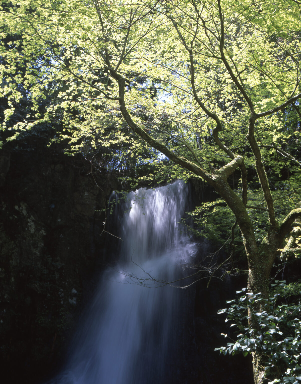 【RA-4 リバーサル⑤】明暗のはっきりしたコマをプリントする コントラストの調節を試みた 仕上がりと作例・感想 - epilog.